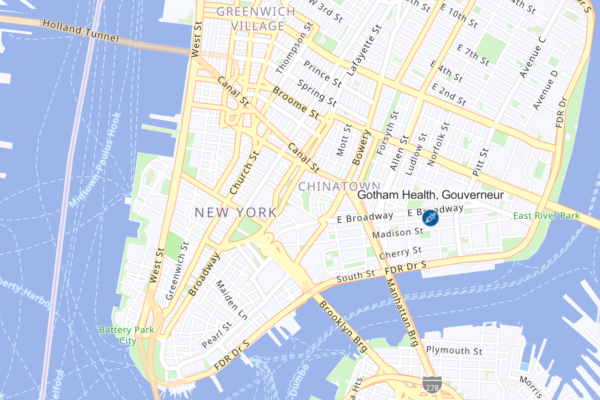 LES READY! – Long Term Recovery Group of the Lower East Side of Manhattan